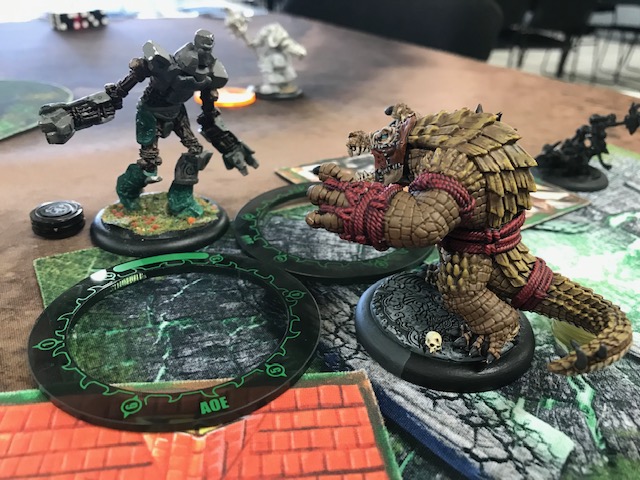 Gators and Pigs – Red Ones Go Faster